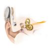 Different between Bone Anchored Hearing Aid (BAHA) & Cochlear Implants ...